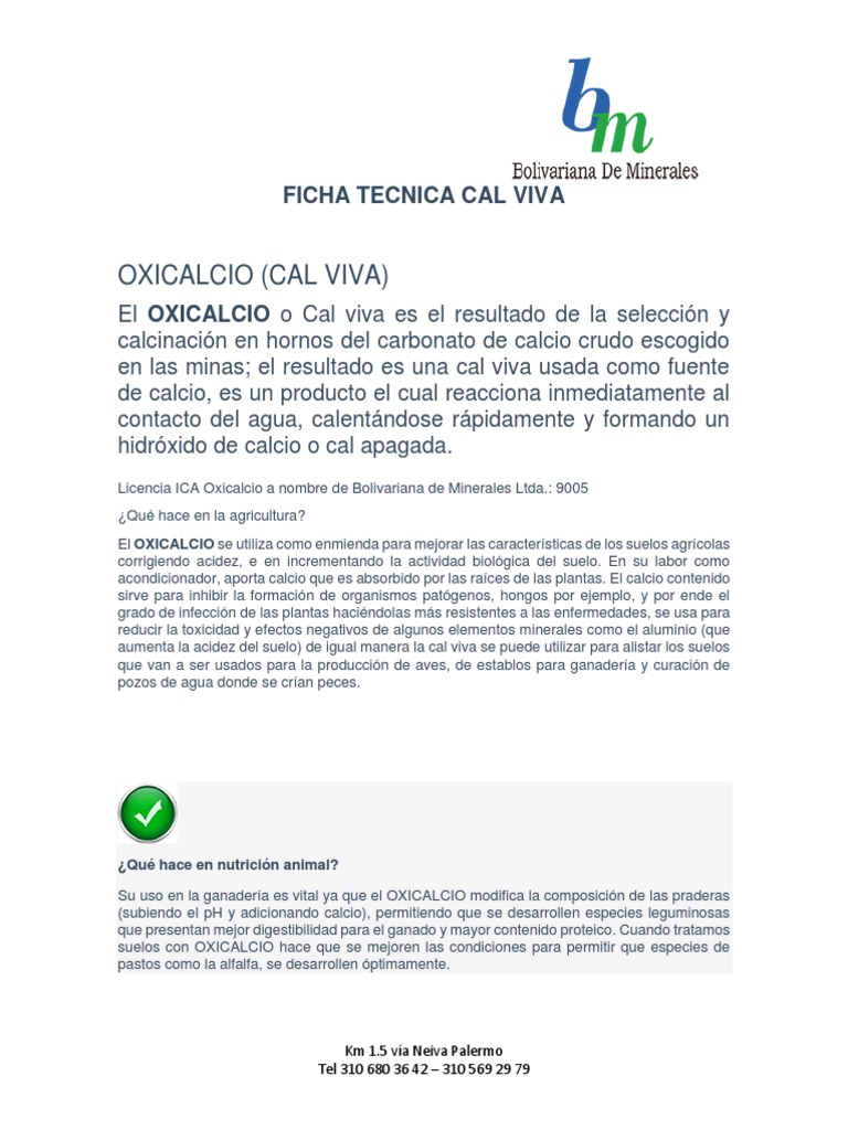 Item 24 Ficha Tecnica Cal Viva | PDF | Calcio | Sustancias químicas