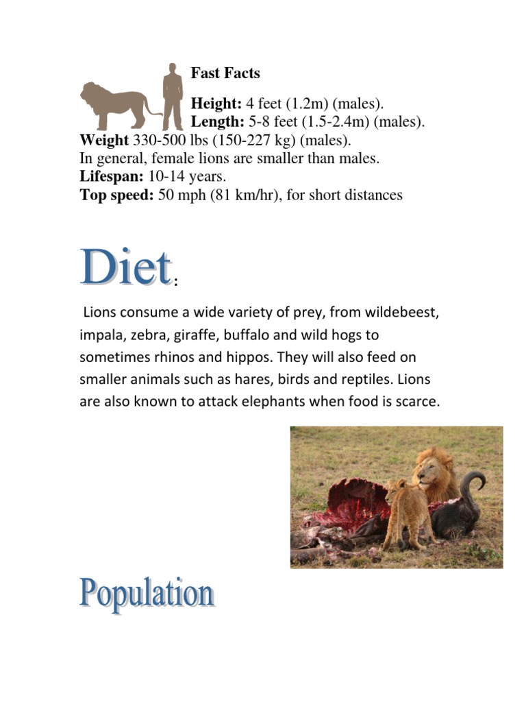 Lion | PDF | Science & Mathematics | Travel