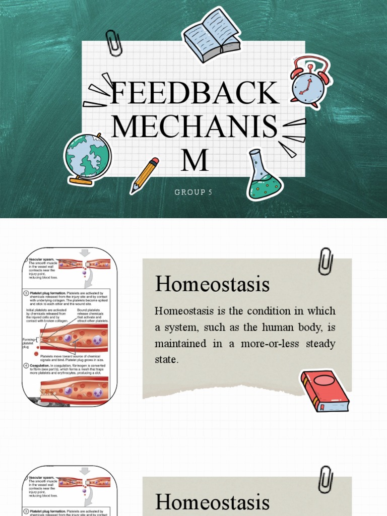 FEEDBACK-MECHANISM-Module-5 | PDF | Homeostasis | Thermoregulation