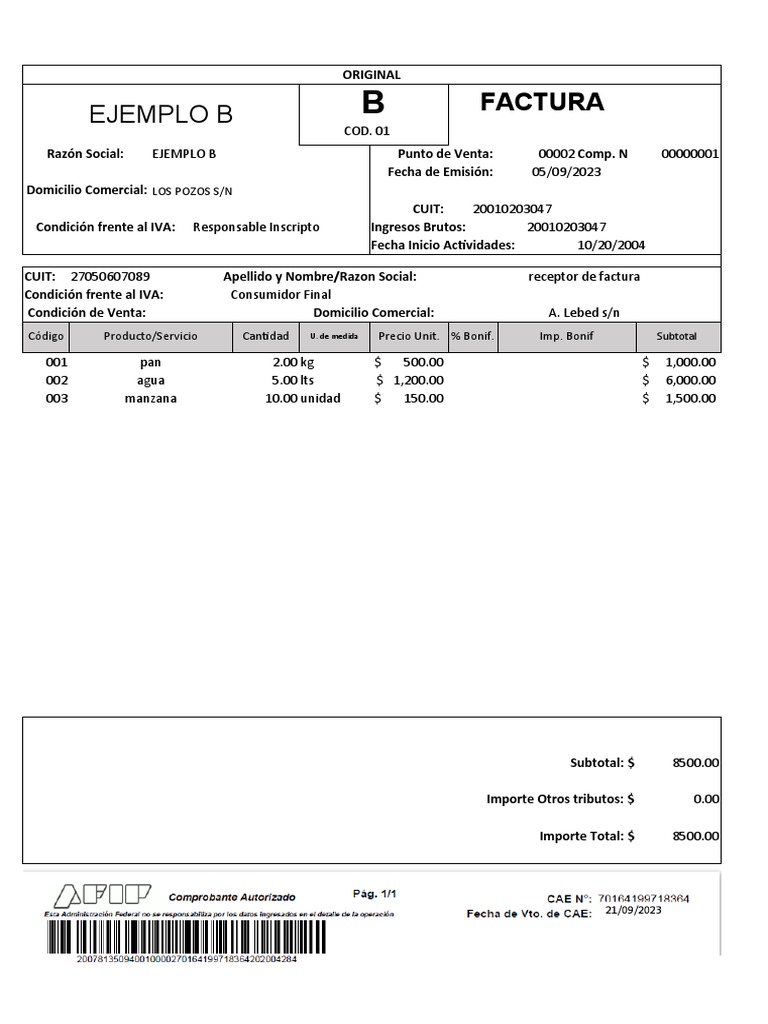 Simulador de Factura B | PDF | Factura | Contabilidad