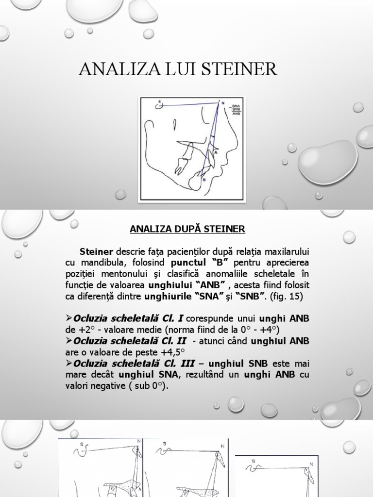 Analiza Lui Steiner | PDF