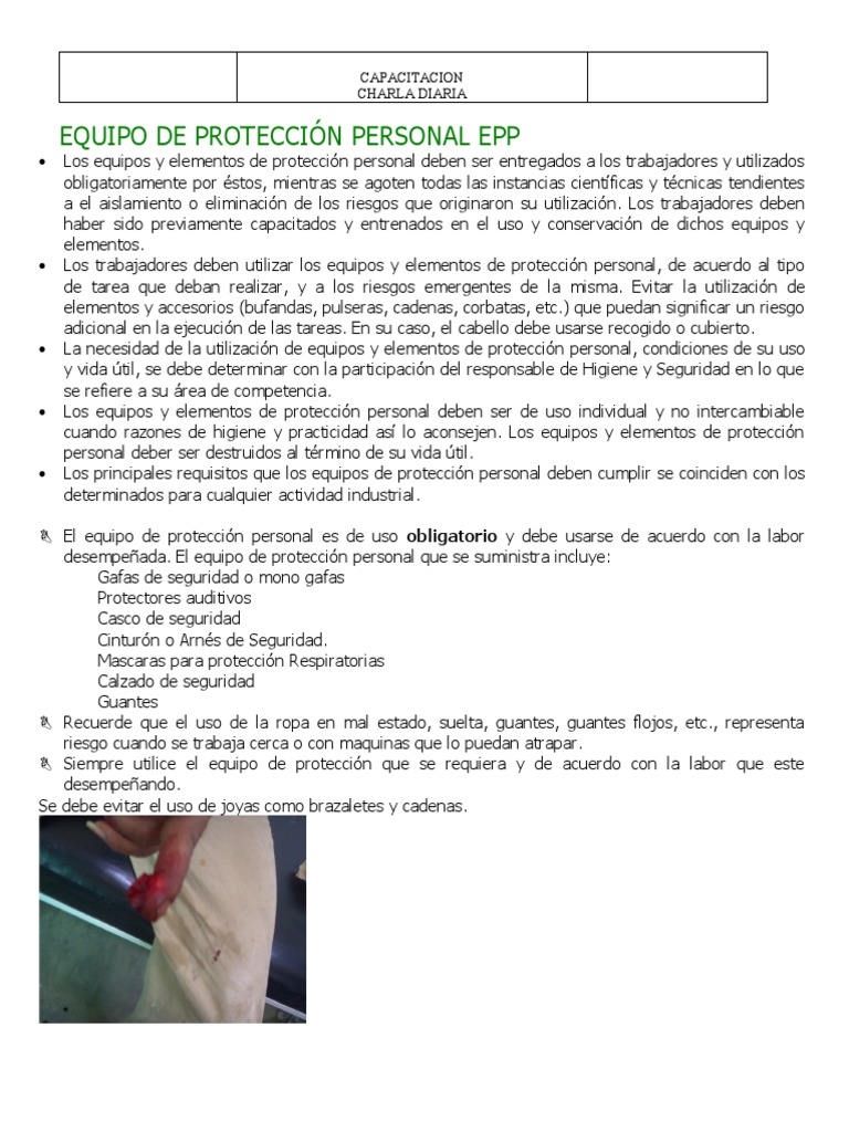Uso Obligatorio de EPP en el Trabajo | PDF | Informática