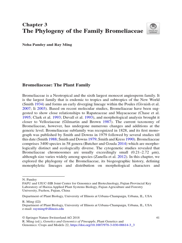 Filogenia de La Piña | PDF | Botany | Organisms