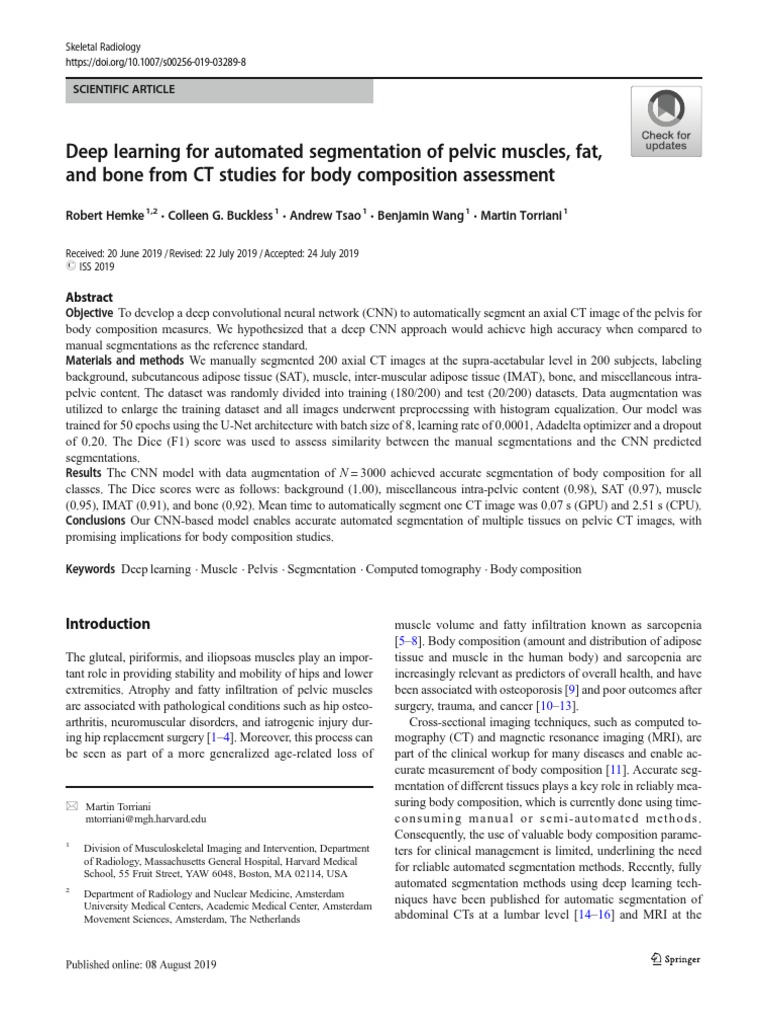 Deep Learning For Automated Segmentation Of Pelvic Muscles Fat Pdf Image Segmentation Ct Scan