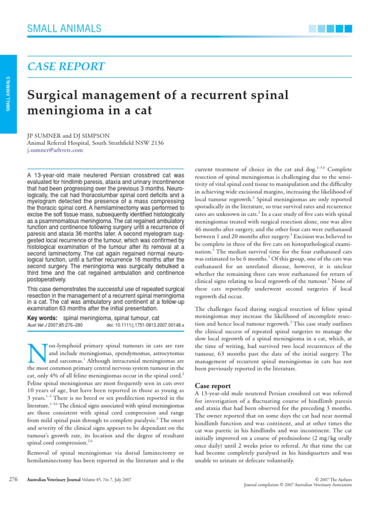 Surgical Management of A Recurrent Spinal Meningioma in A Cat | PDF ...