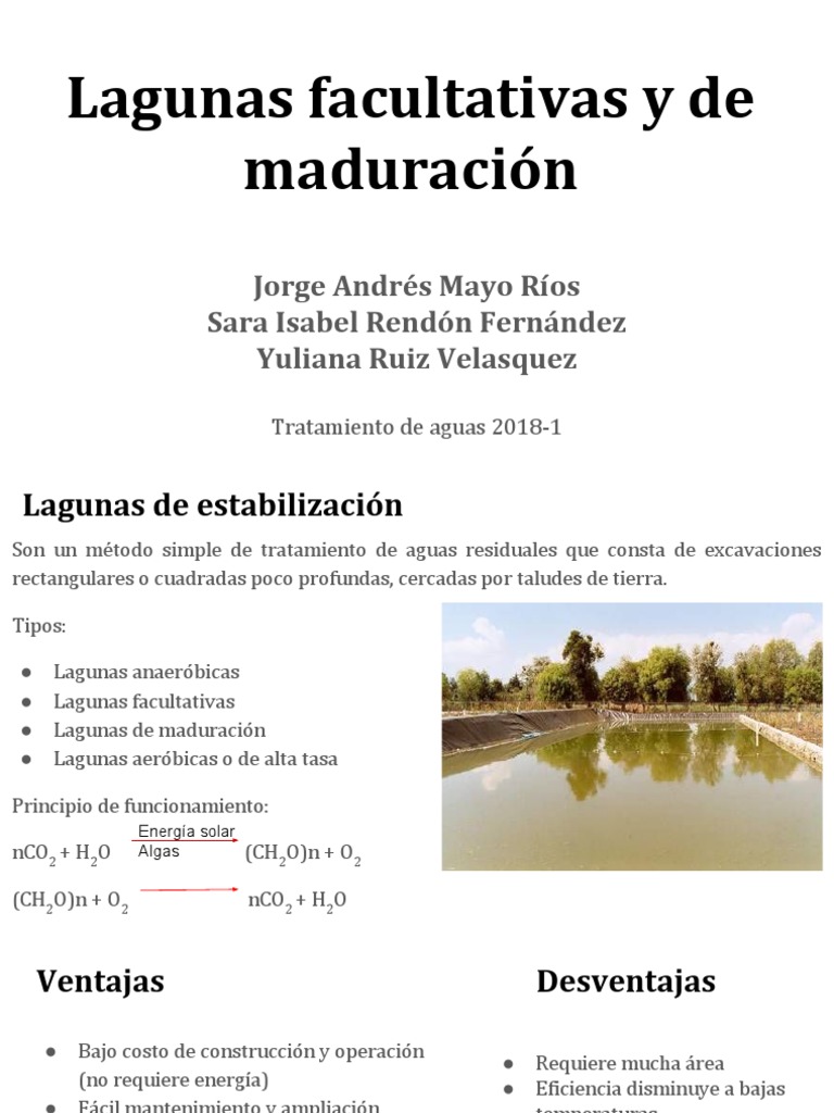 Tipos y Funcionamiento de Lagunas de Tratamiento | PDF | Fotosíntesis ...