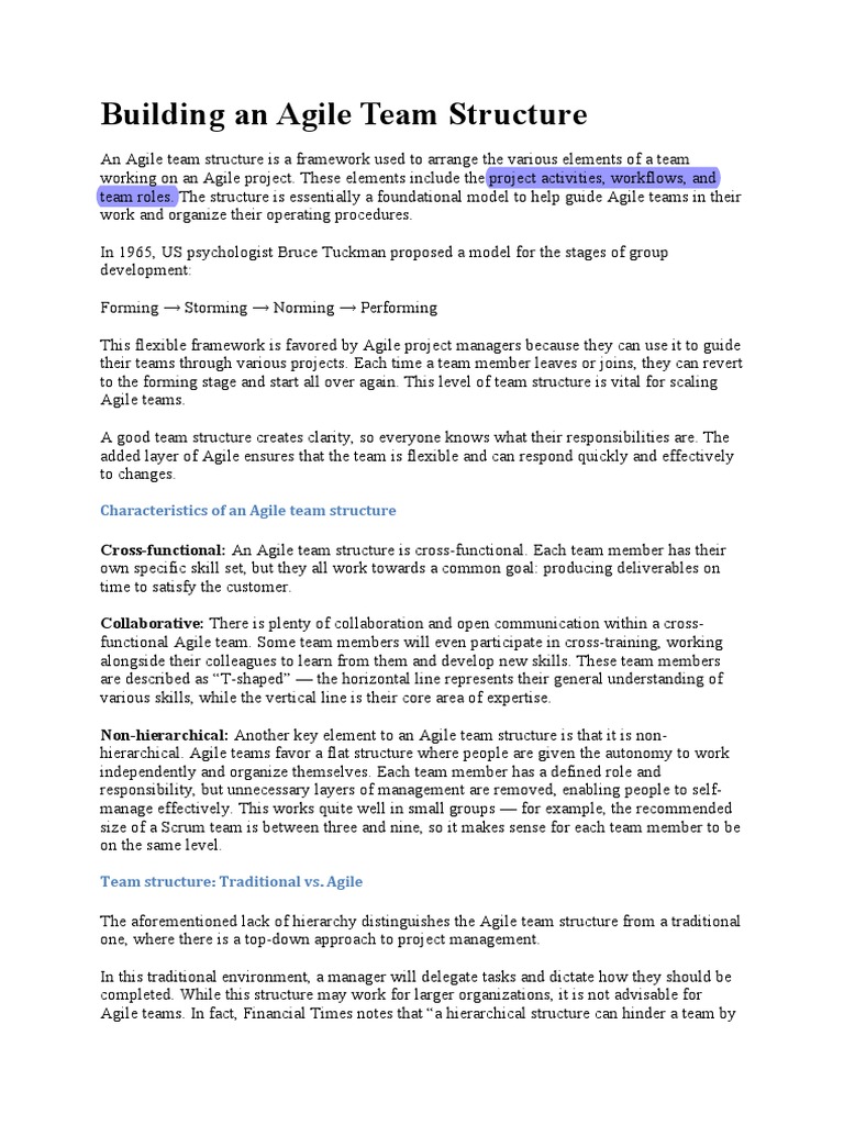 Optimizing Agile Team Structures | PDF | Agile Software Development ...