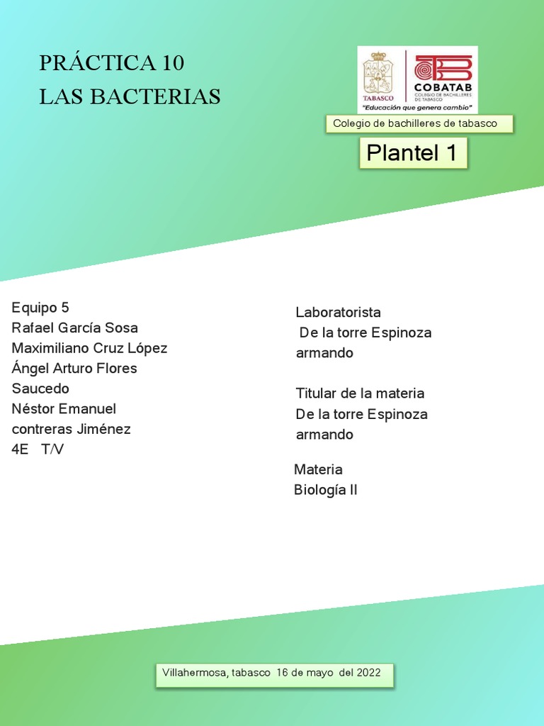 Práctica 10 Bacterias | PDF | Las bacterias | Biología Celular)