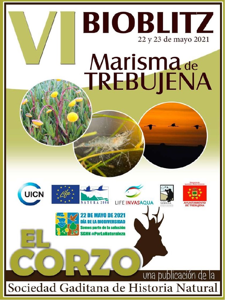 Bioblitz Trebujena El Corzo 2021 | PDF