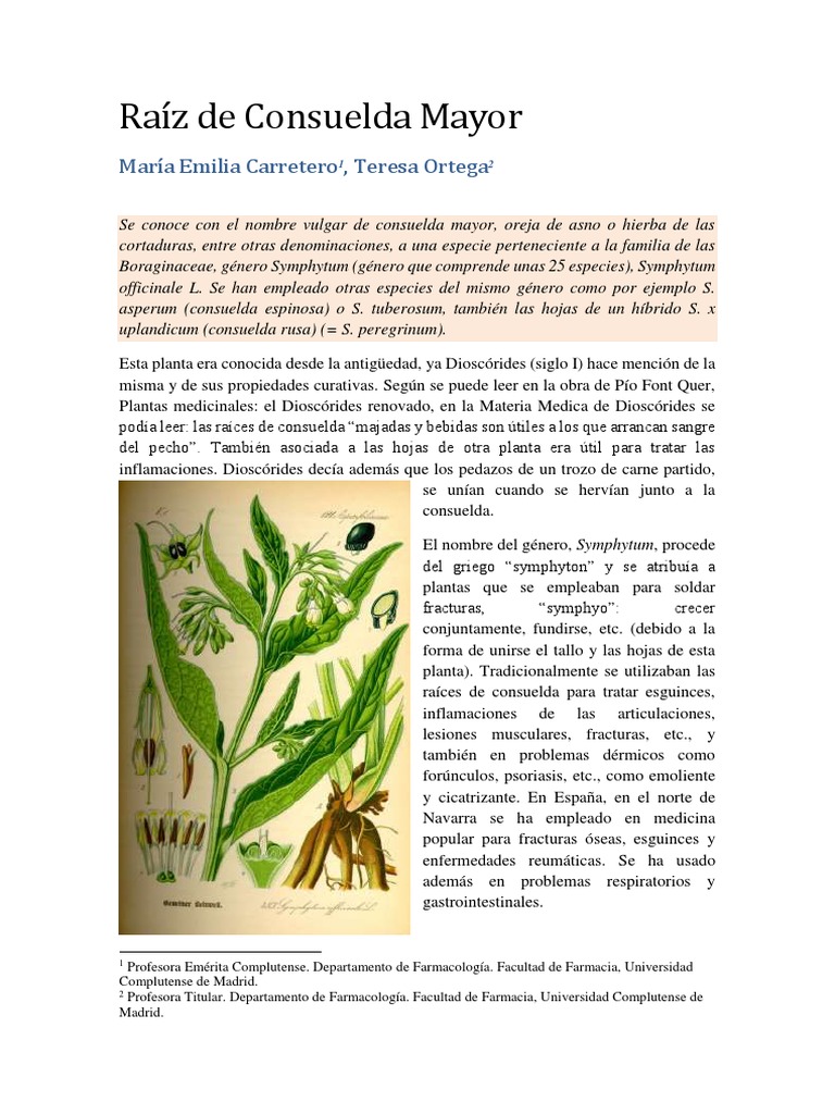 Consuelda 104992 | PDF | Antiinflamatorio | Prostaglandina