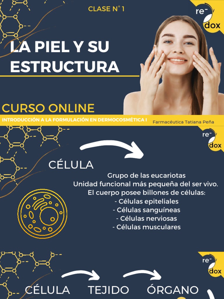 Clase 1 Introduccion, Piel y Estructura | PDF | Piel | Epidermis