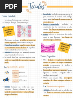 Simetria Corporal em Animais | PDF | Sistema nervoso | Corpo humano