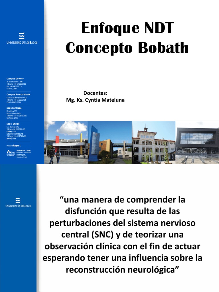 NDT - Concepto Bobath | PDF | Neurociencia | Especialidades Medicas