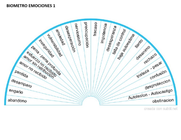 BIOMETRO EMOCIONES 1 | PDF