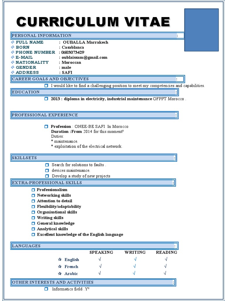 Example CV | PDF