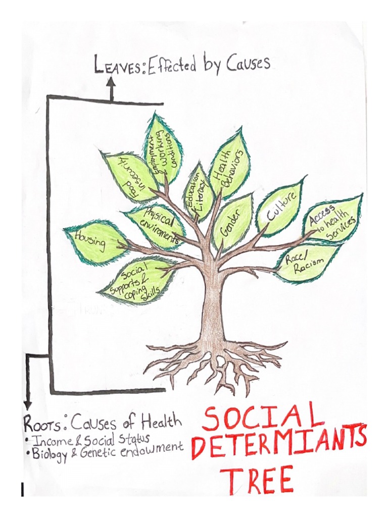 Social Determinants of Health Tree | PDF