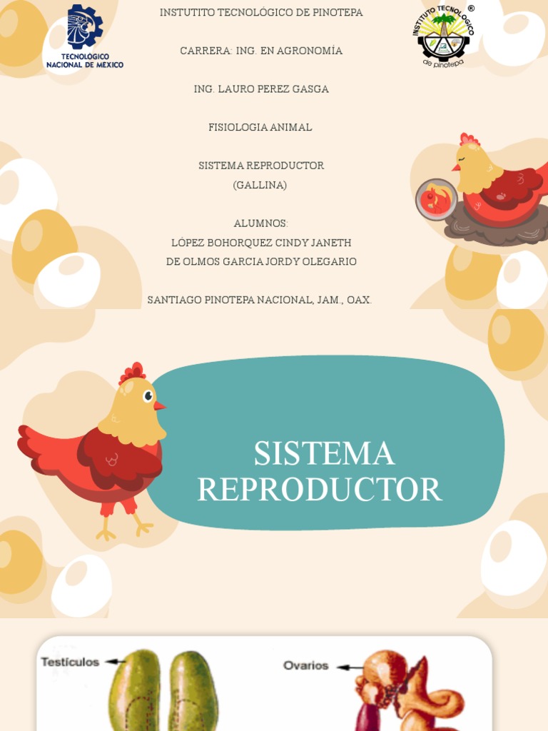 Unid. 6 Sist. Reprod. de La Gallina | PDF | Hormona luteinizante ...