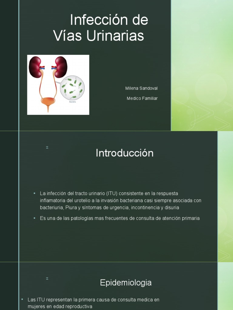 Infección de Vías Urinarias | PDF | Especialidades Quirúrgicas | Órgano ...