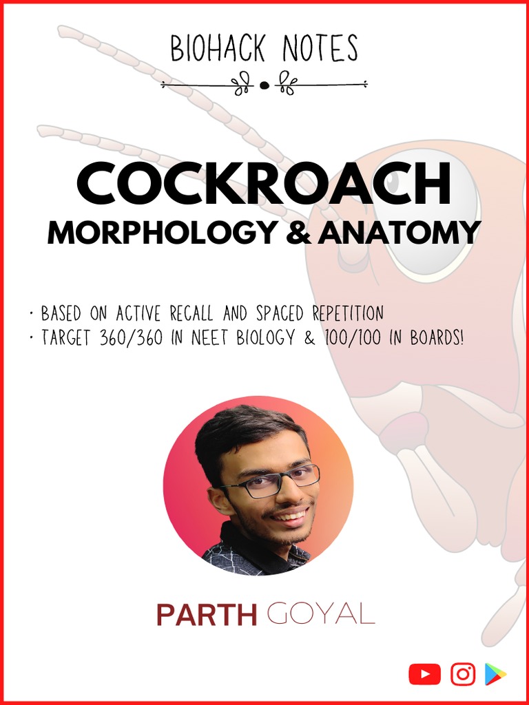 Cockroach BioHack | PDF | Reproductive System | Anatomy