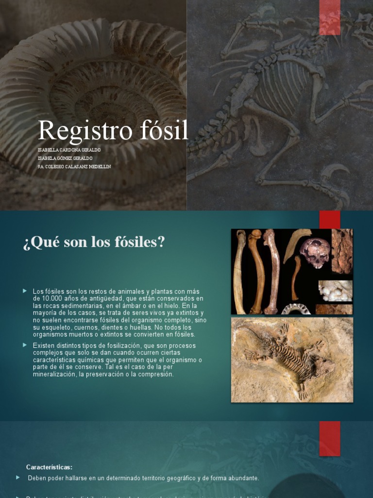 Registro Fósil | PDF | Fósil | Paleontología