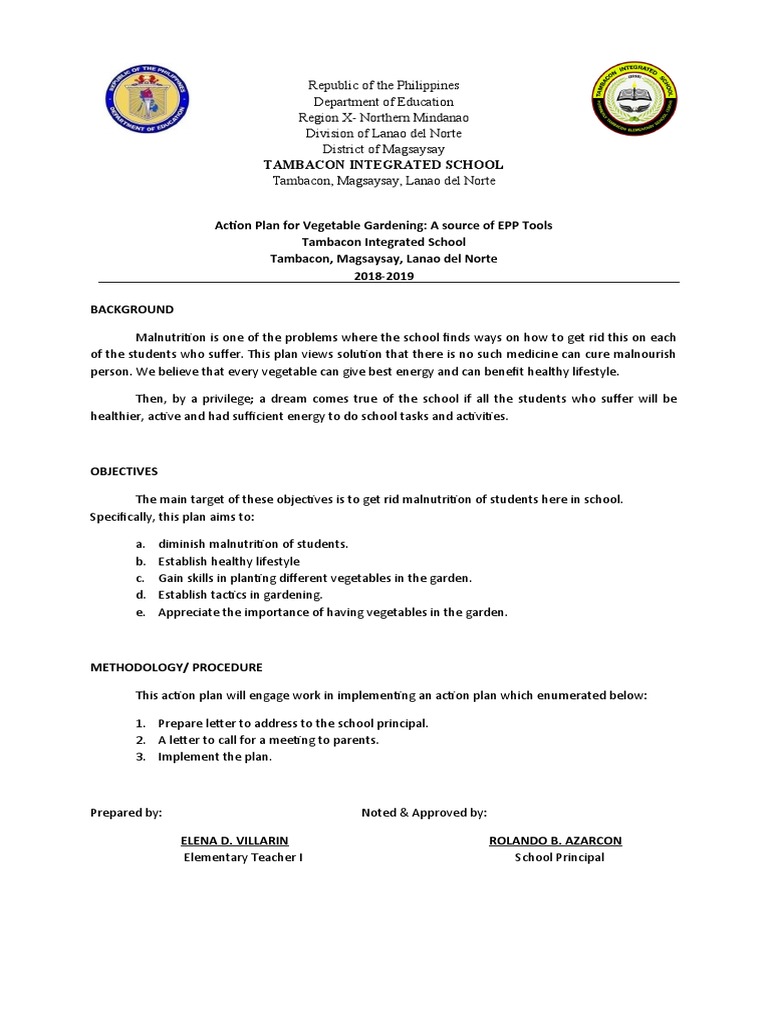 Action Plan For Vegetable Gardening | PDF