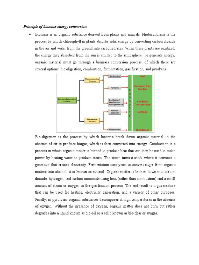 Principle of Biomass Energy Conversion | PDF | Gasification | Physical Sciences