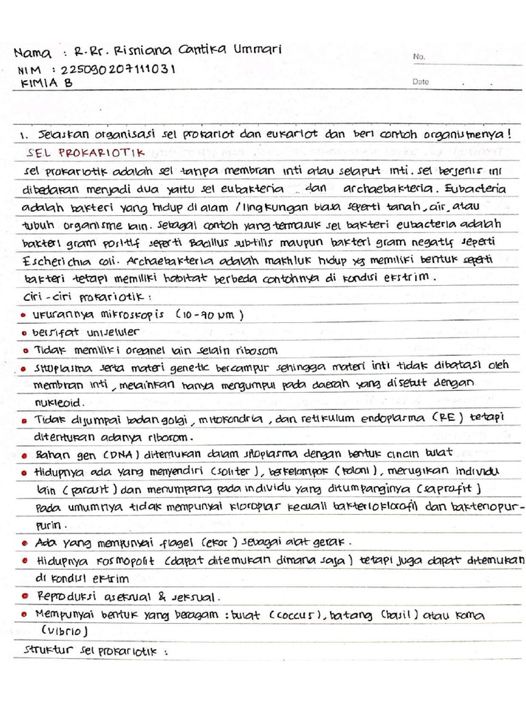 2 Compressed Pdf