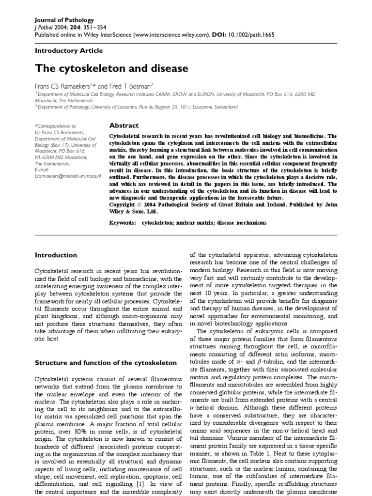 Paper de Citoesqueleto | PDF | Cytoskeleton | Cell Nucleus