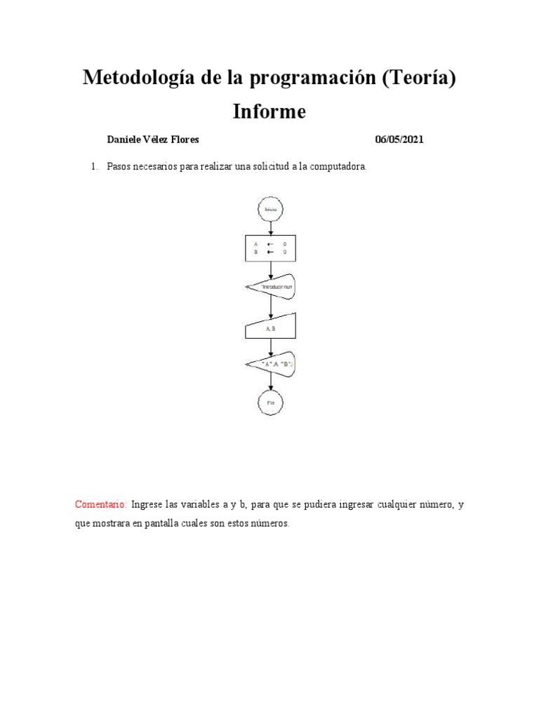 Velez Daniele M.P. Informe (Teoria) | PDF