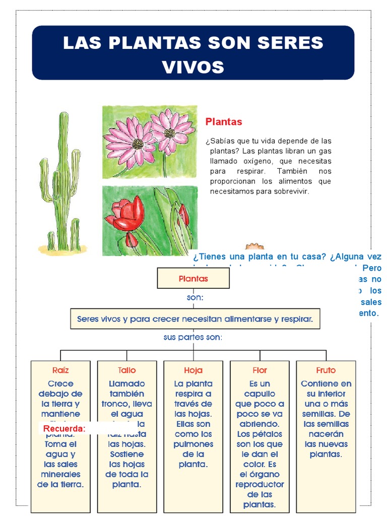 Las Plantas Son Seres Vivos | PDF