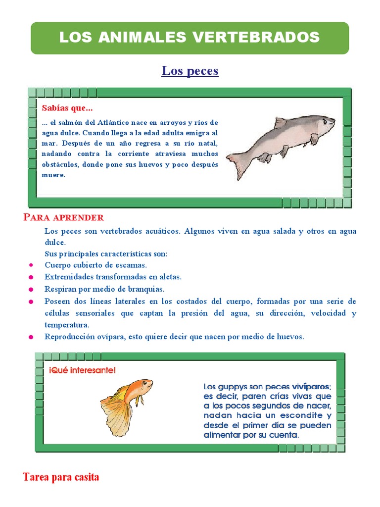 Los Animales Vertebrados | PDF