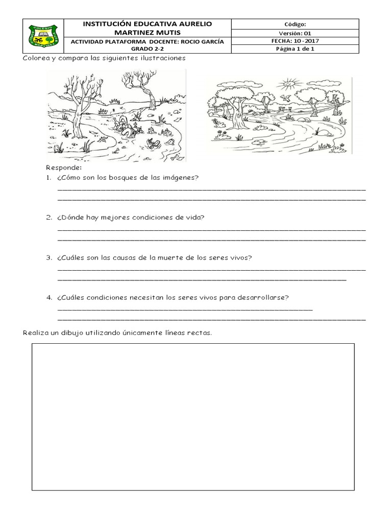 Actividades de Aprendizaje sobre Bosques | PDF