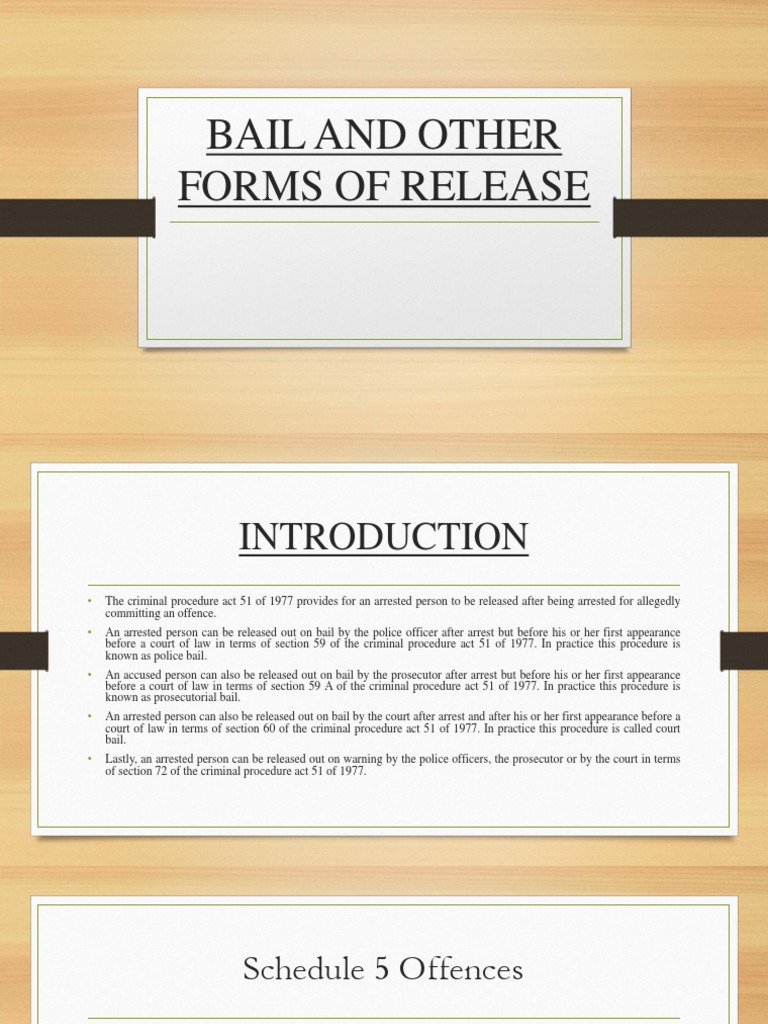 Bail and Other Forms of Release 2023 | PDF | Bail | Criminal Procedure In South Africa