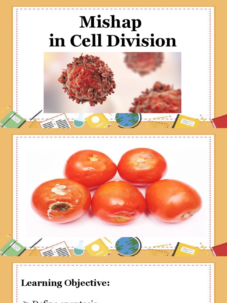 Apoptosis and Cell Division Disorders | PDF