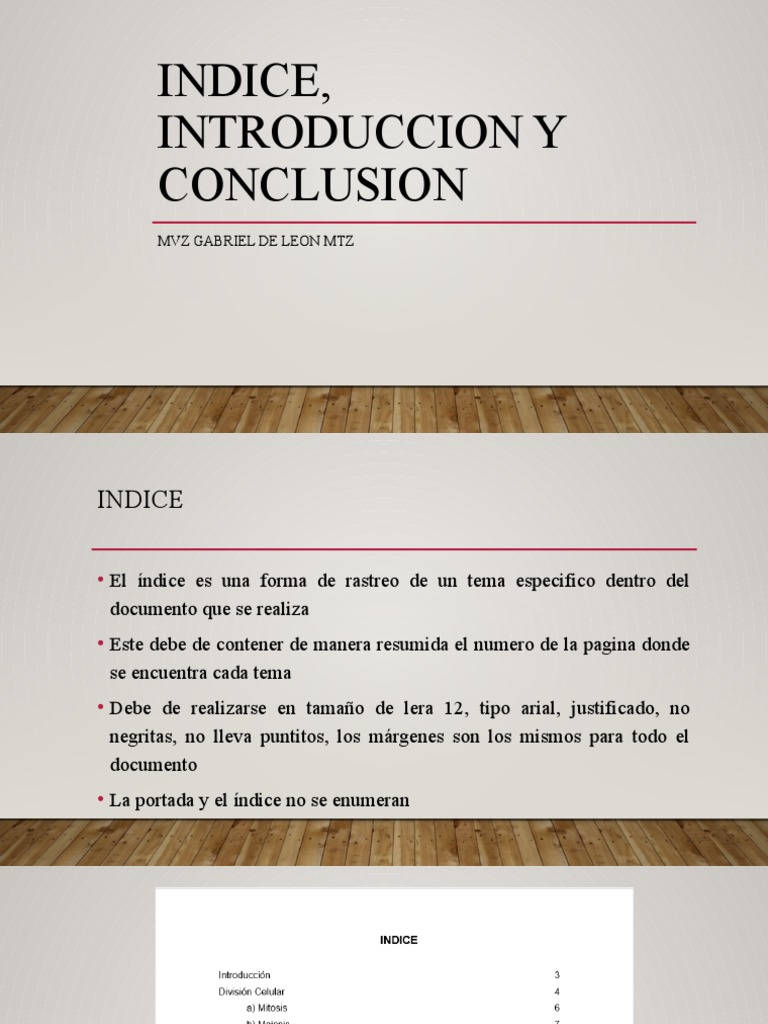 Indice, Introduccion y Conclusion | PDF | Hogar, jardinería y bricolaje