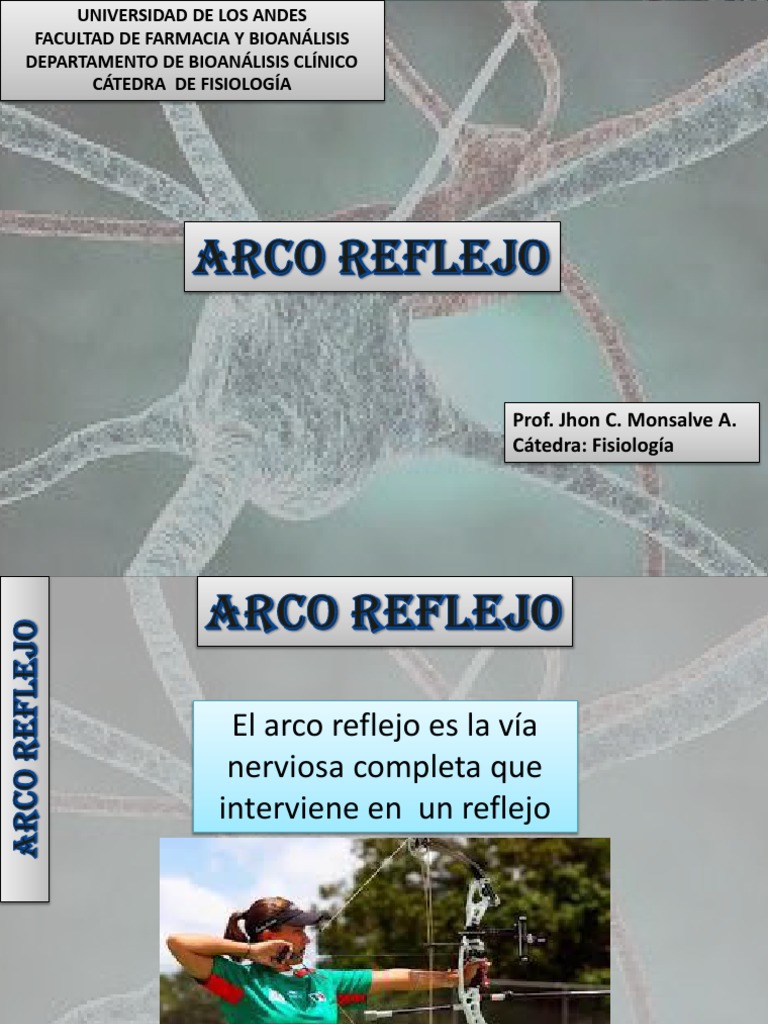 Arco Reflejo | PDF