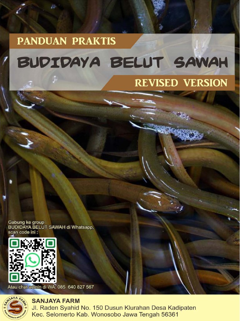 Panduan Praktis Budidaya Belut Sawah Ver.3 | PDF
