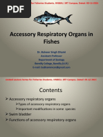 Myxine: Classification and Characteristics | PDF | Skeleton | Gill