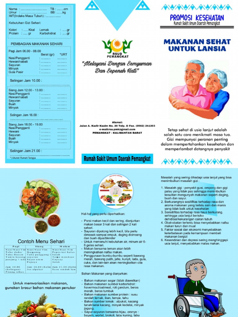 Leaflet Makanan Sehat Untuk Lansia RSUD PMK | PDF