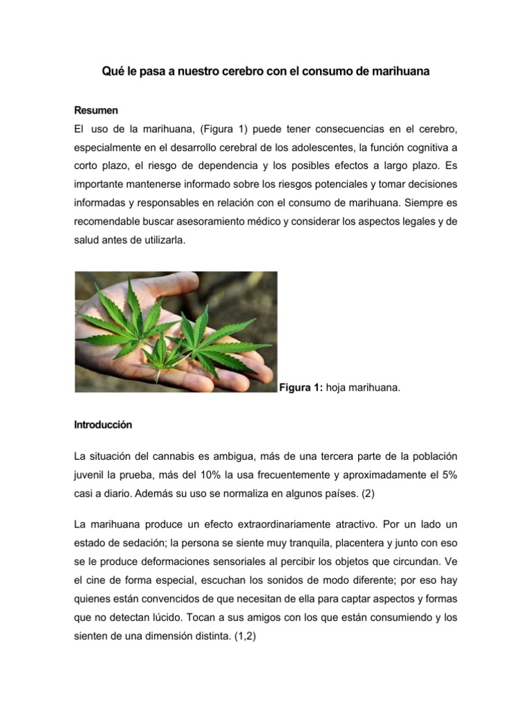 La Marihuana Descargar Gratis Pdf Cannabis Droga Memoria