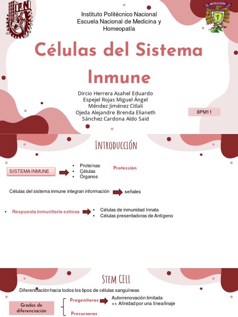 Células Del Sistema Inmune | PDF | Linfocitos | Sistema inmune