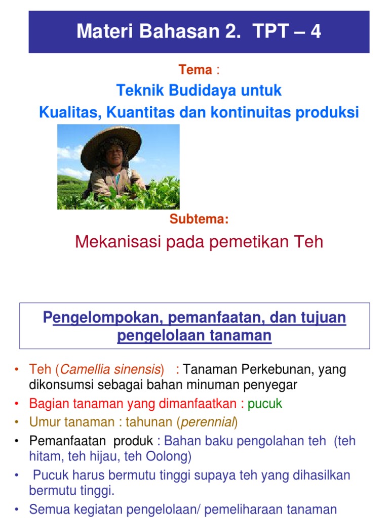 Pp. Bahasan TPT4 III Mekanisme Pemetikan Teh | PDF