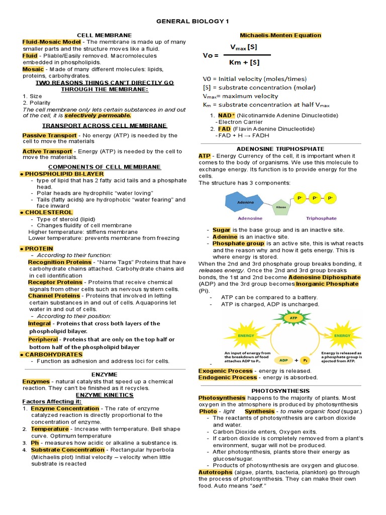 General Biology Notes | PDF | Cellular Respiration | Photosynthesis