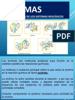 Clasificación de Ligasas en Bioquímica | PDF | Biomoléculas | Biología ...
