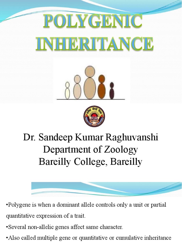 Polygenic Inheritance | Download Free PDF | Heredity | Quantitative ...