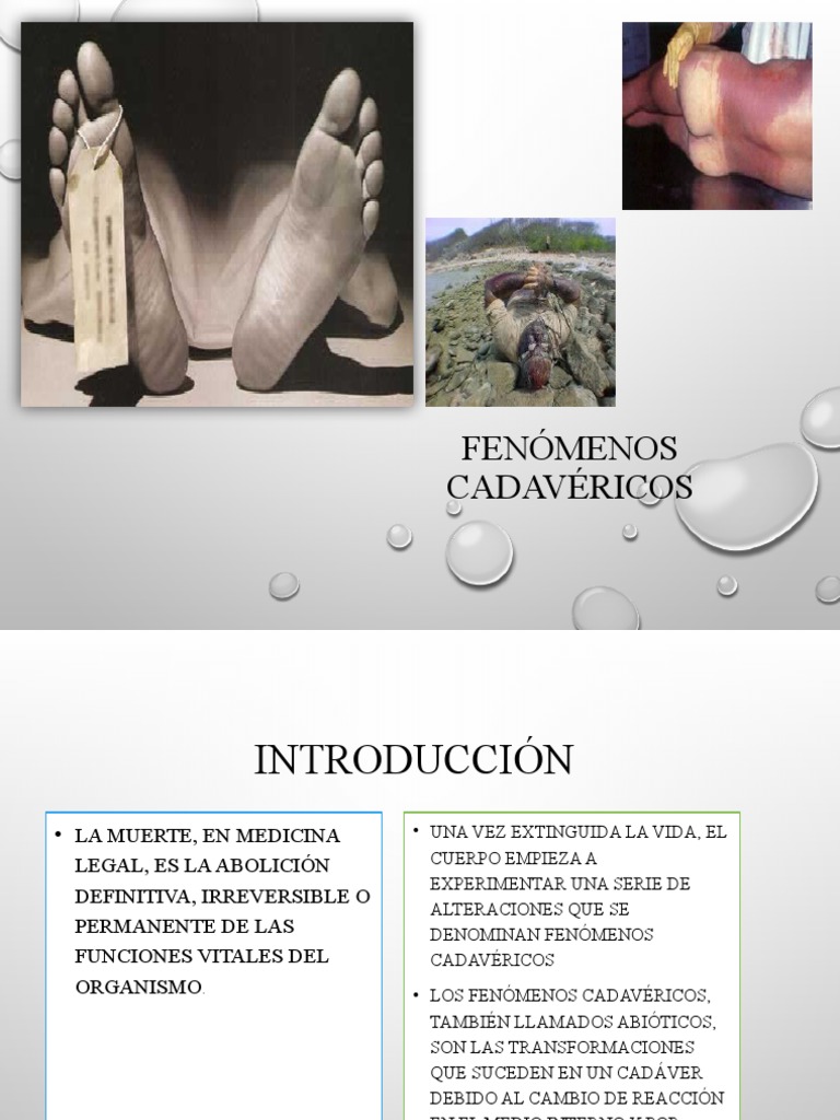 Fenomenos Cadavericos 23 | PDF | Descomposición | Cadáver