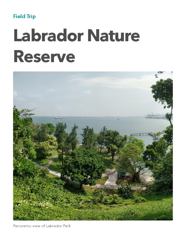Labrador Park | PDF