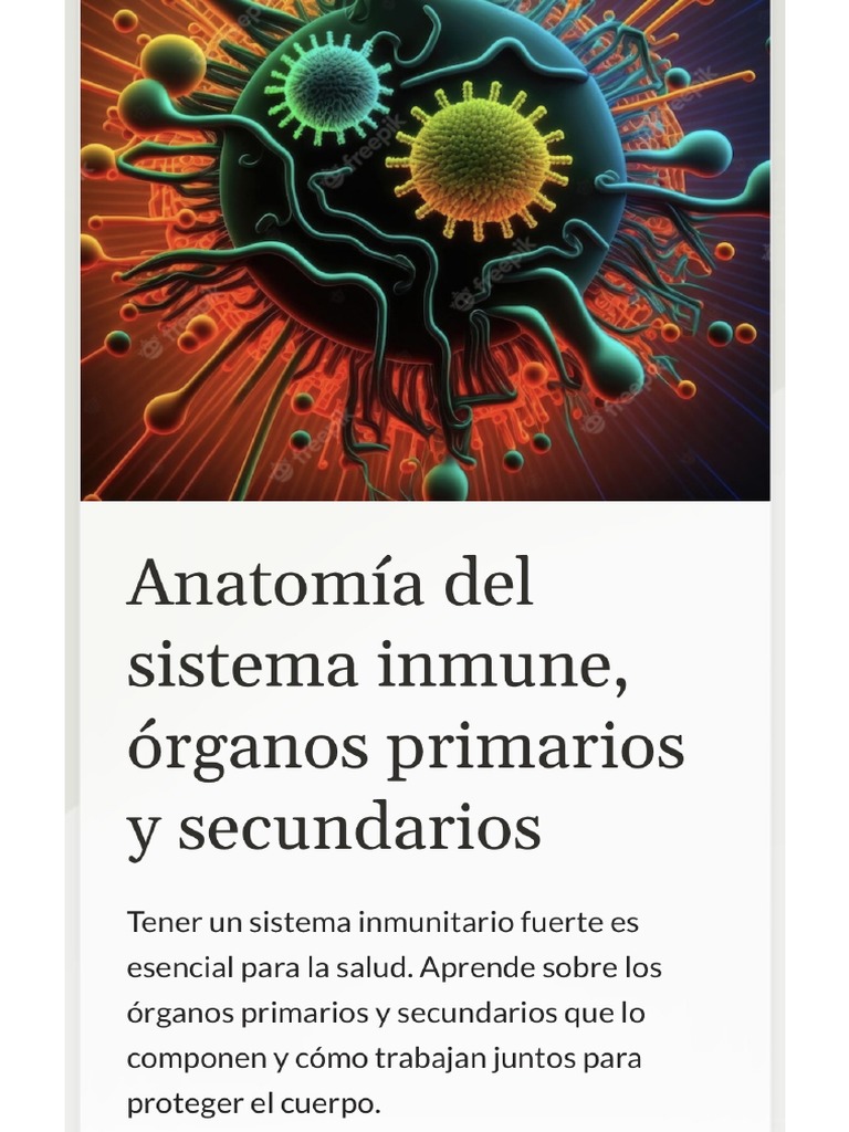 Anatomía Del Sistema Inmune Pdf