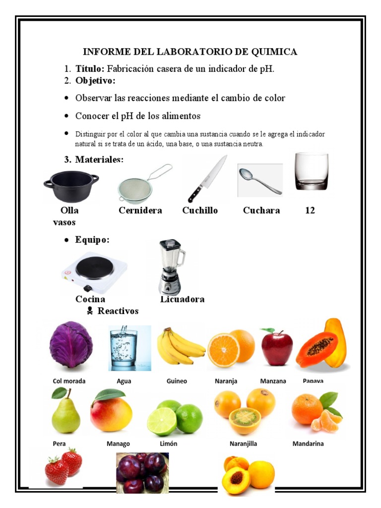 Indicador de pH con col morada | PDF | Ciencias fisicas | Sustancias ...