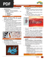 CDC - DPDX - Hookworm - Images | PDF | Microscopy | Microbiology